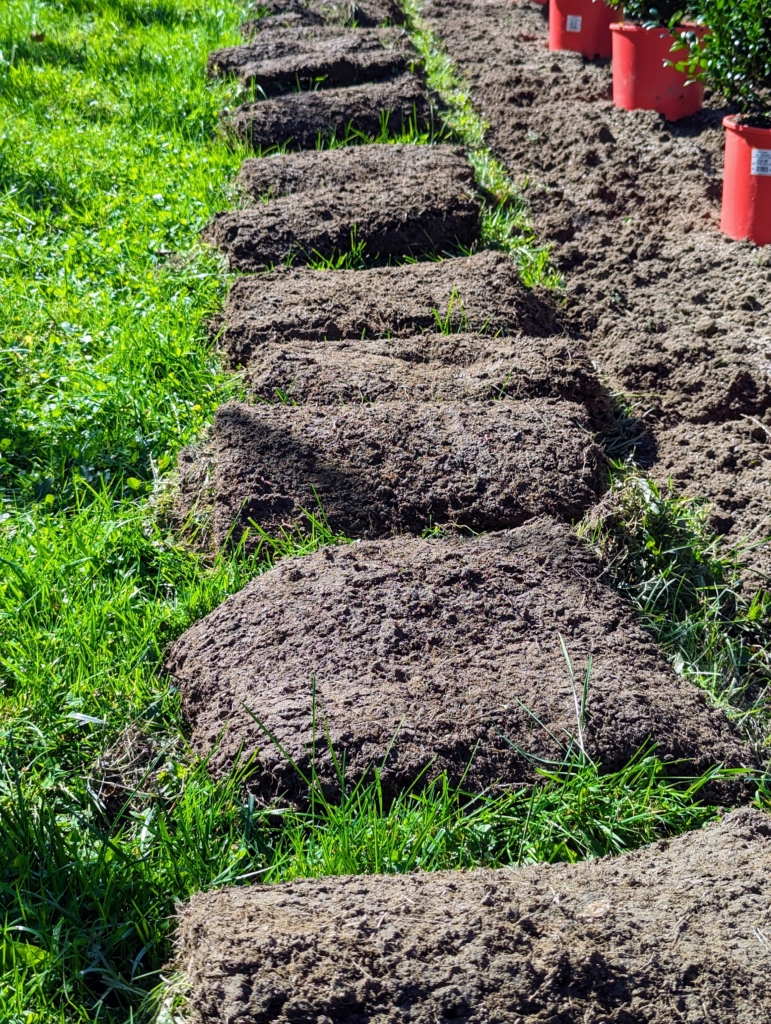 Adding More Holly to My Living Maze - The Martha Stewart Blog