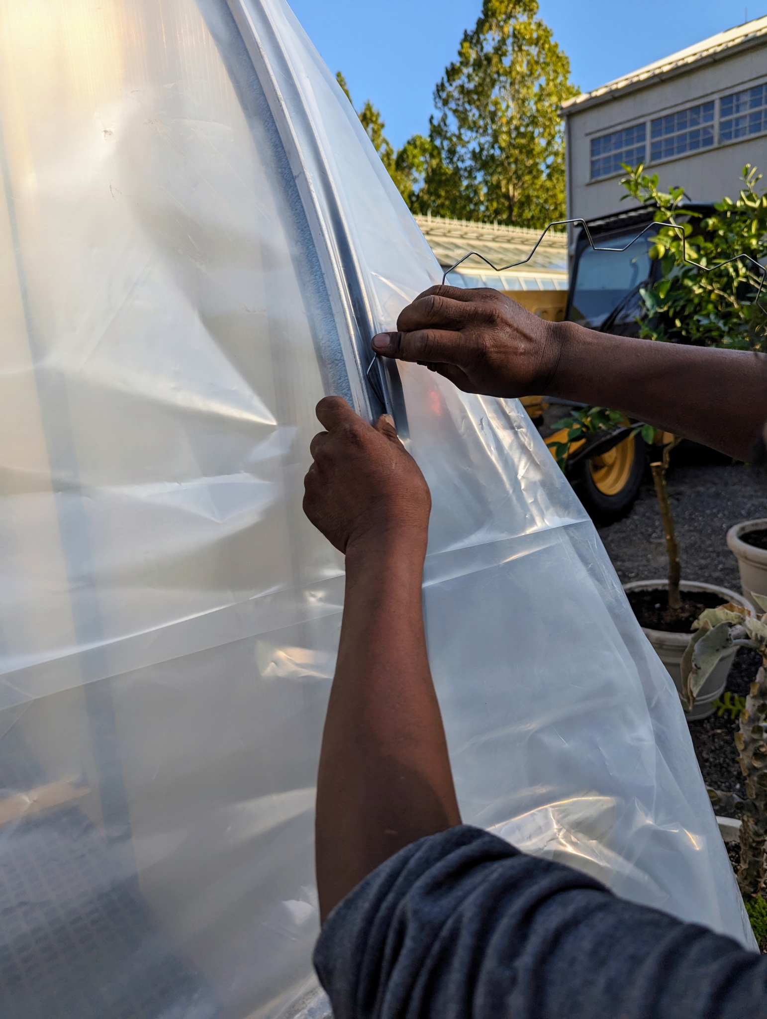 Replacing the Hoop House Cover - The Martha Stewart Blog
