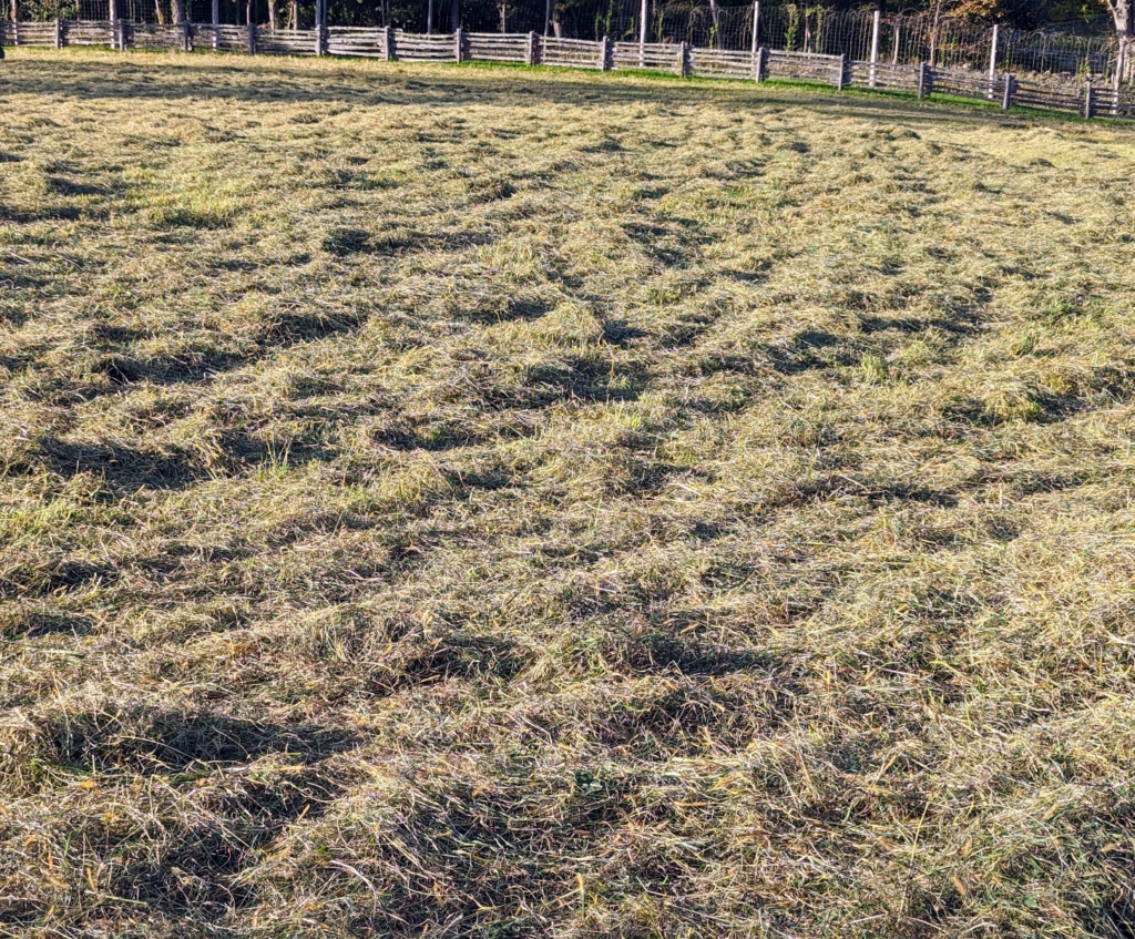 Our Second Cut of Hay 2023 - The Martha Stewart Blog