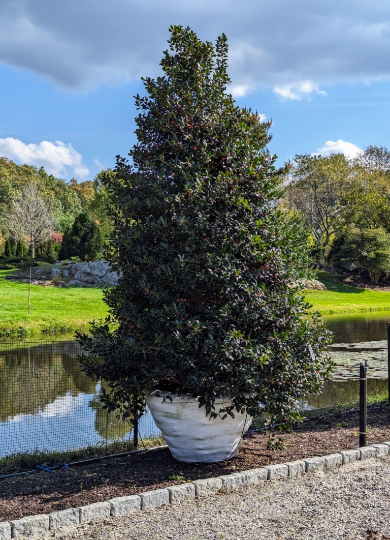 A Visit to Select Horticulture Inc. in Pound Ridge, New York - The ...
