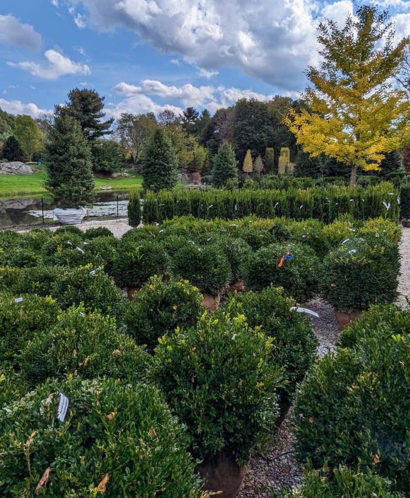 A Visit to Select Horticulture Inc. in Pound Ridge, New York - The ...