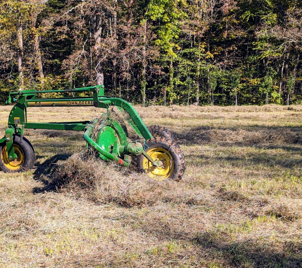 Our Second Cut of Hay 2023 - The Martha Stewart Blog