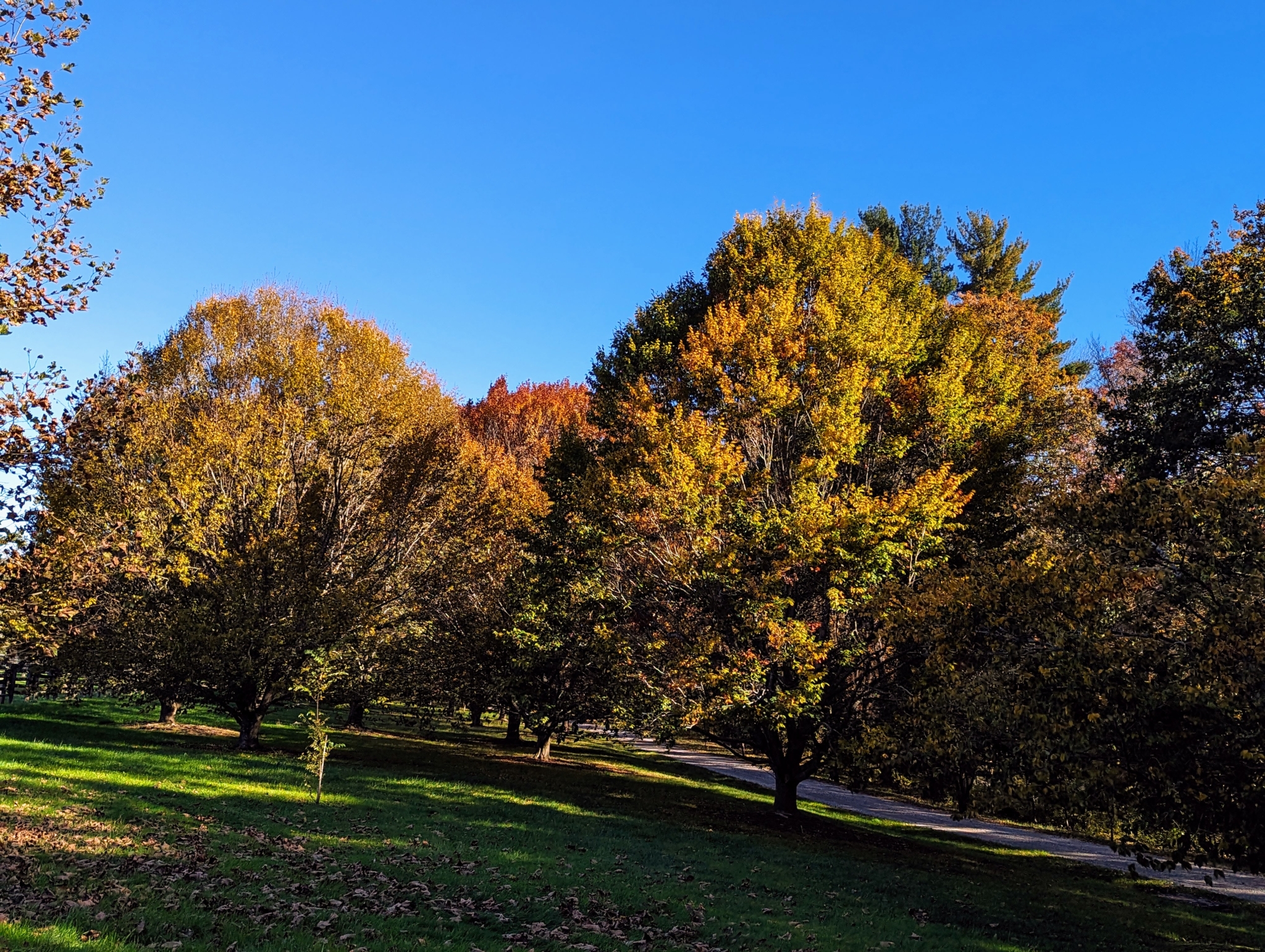 October Colors Around My Farm - The Martha Stewart Blog