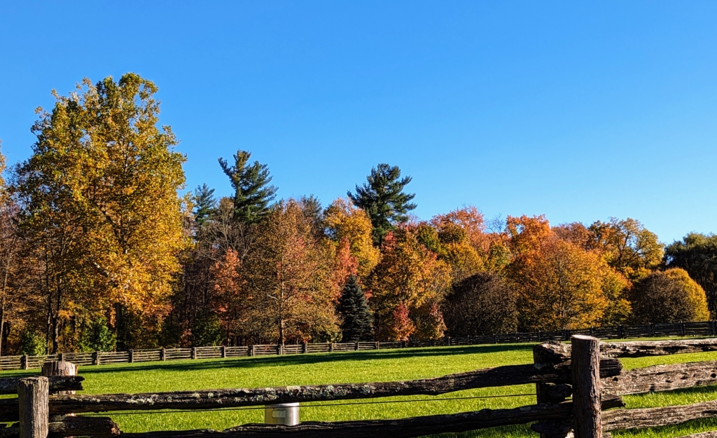 October Colors Around My Farm - The Martha Stewart Blog