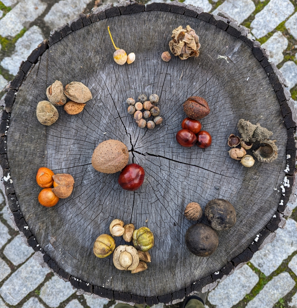 The Martha Stewart Blog : Blog Archive Nuts Around My Farm - The Martha ...