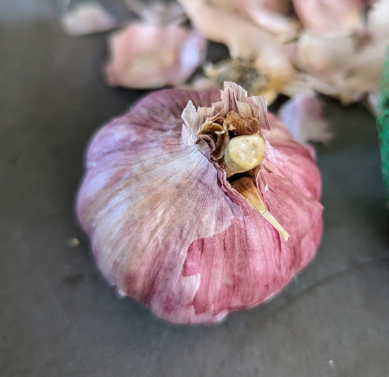 The Martha Stewart Blog : Blog Archive Next Year's Garlic Crop is ...