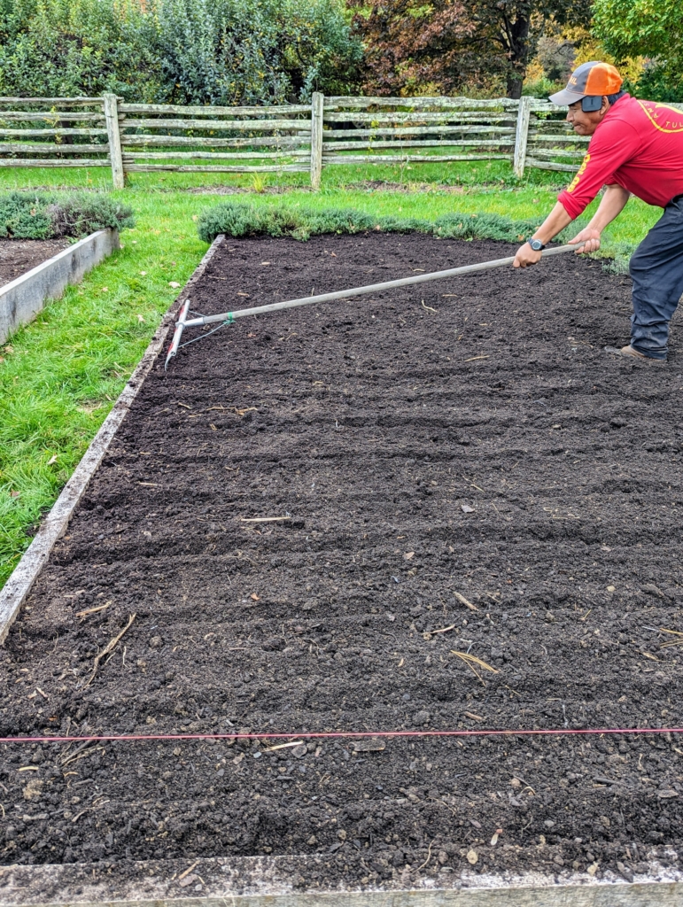 Next Year's Garlic Crop is Planted! - The Martha Stewart Blog