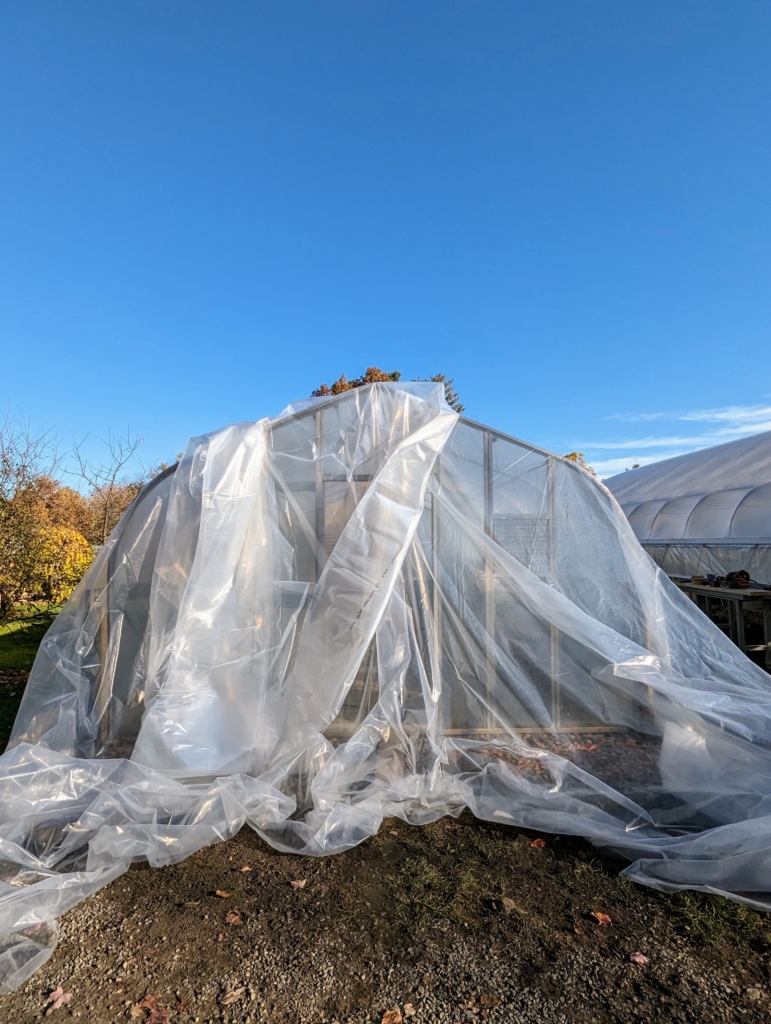 Setting Up a Hoop House - The Martha Stewart Blog