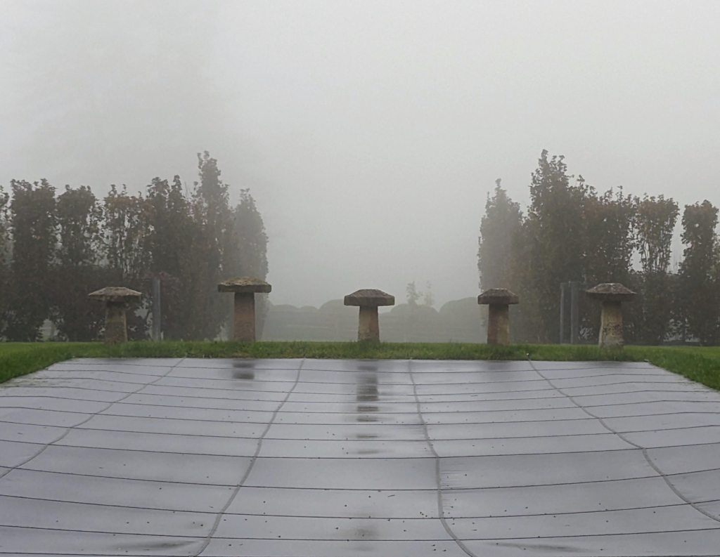 A Dense Fog Over the Farm - The Martha Stewart Blog