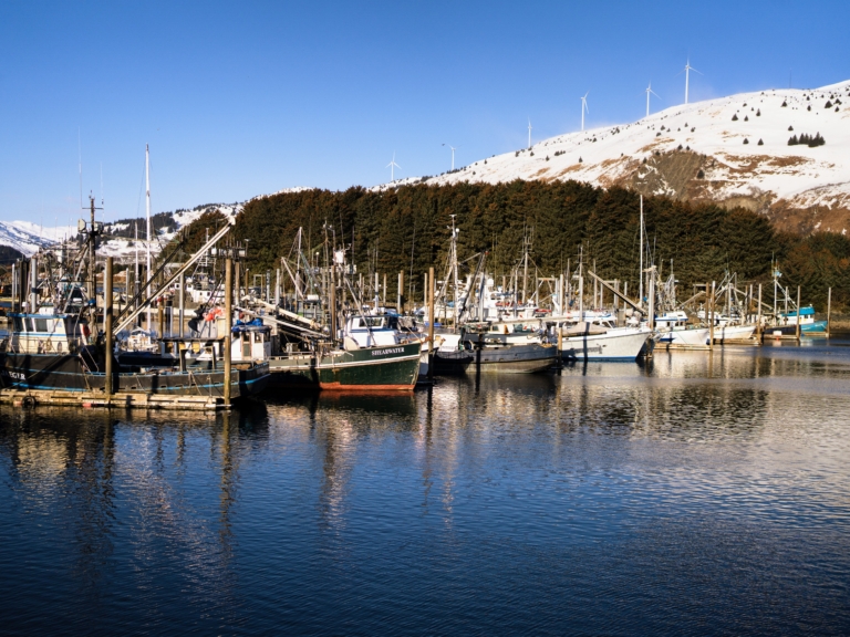 Wild Seafood of Alaska and Season 3 of "Martha Cooks" on The Roku ...