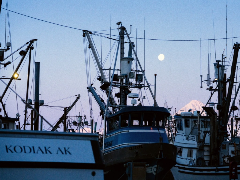 Wild Seafood of Alaska and Season 3 of "Martha Cooks" on The Roku ...