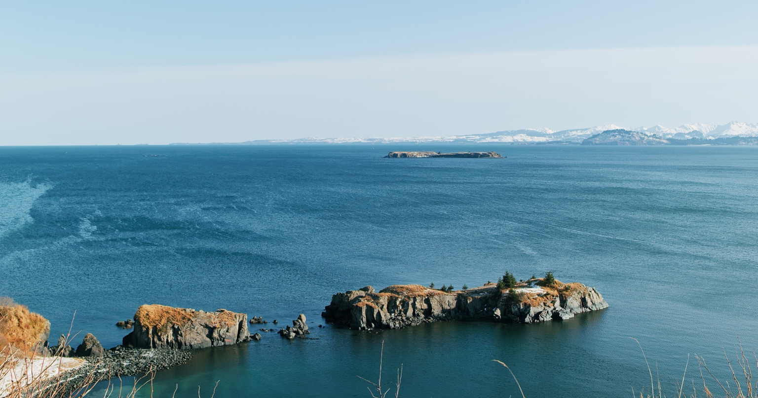 Wild Seafood of Alaska and Season 3 of "Martha Cooks" on The Roku ...