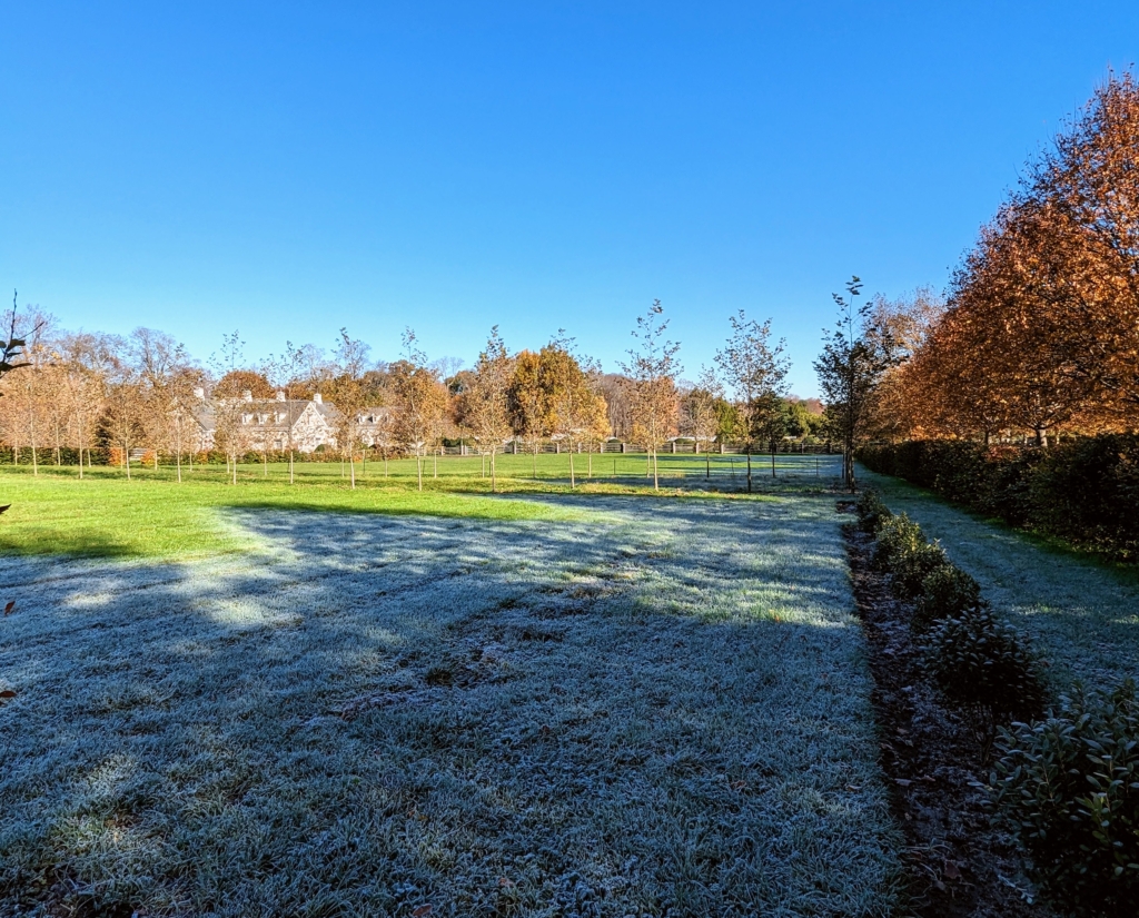 The Season's First Frost at My Farm - The Martha Stewart Blog