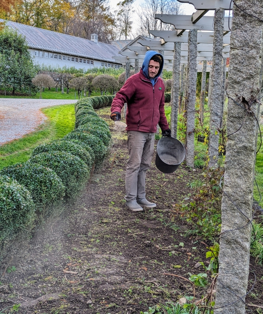 Planting Spring-Blooming Bulbs in My Long Pergola Garden - The Martha ...