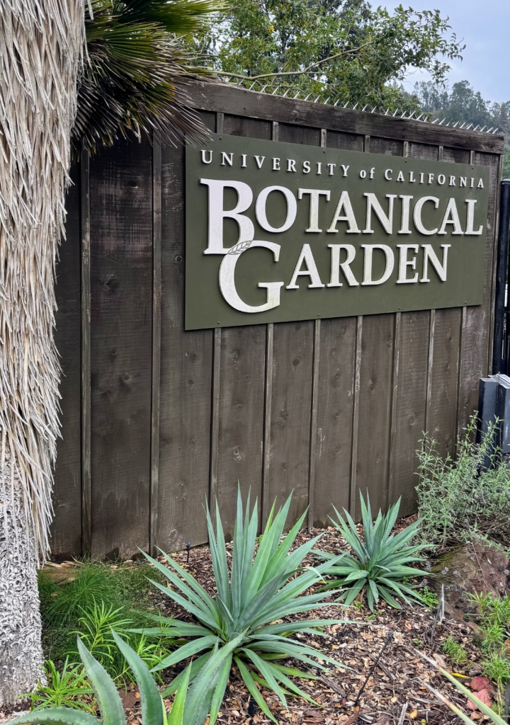 The Martha Stewart Blog : Blog Archive A Guest Blog from a Visit to the ...