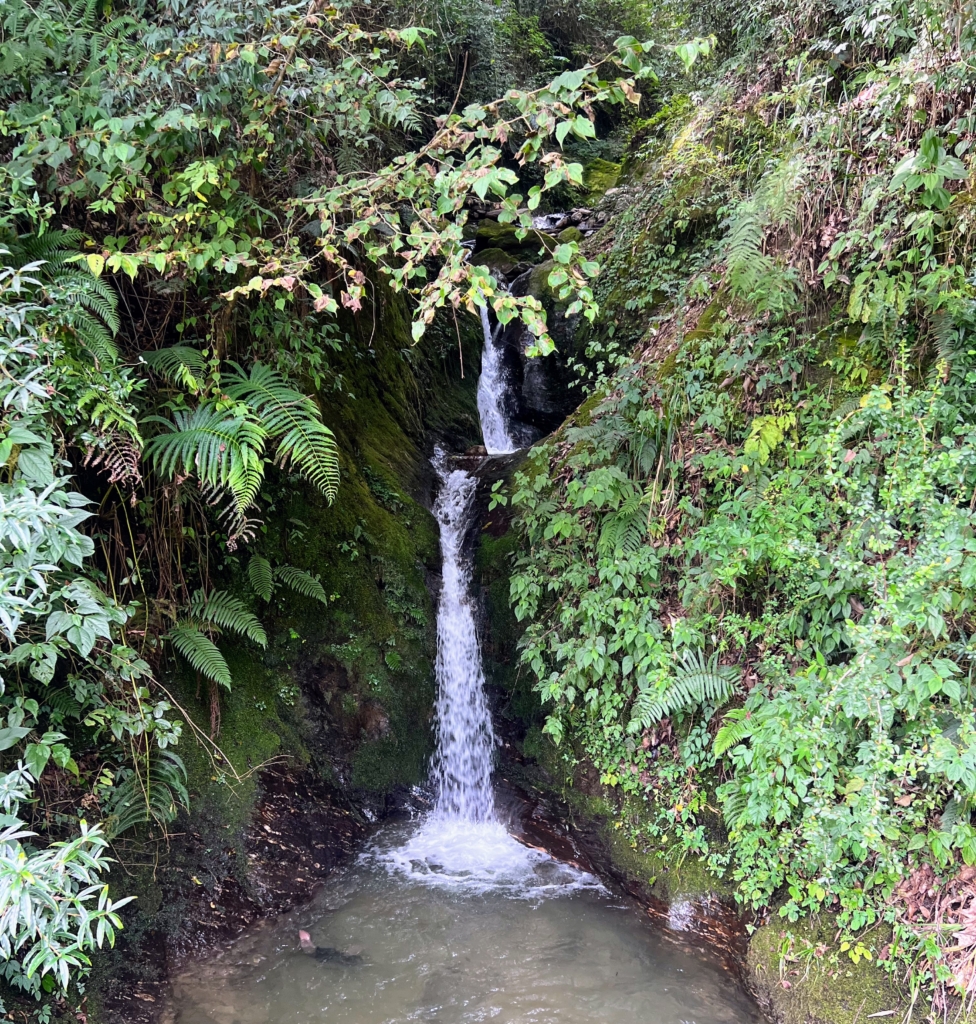 A Guest Blog from A Trip to Nepal in Southeast Asia - The Martha ...