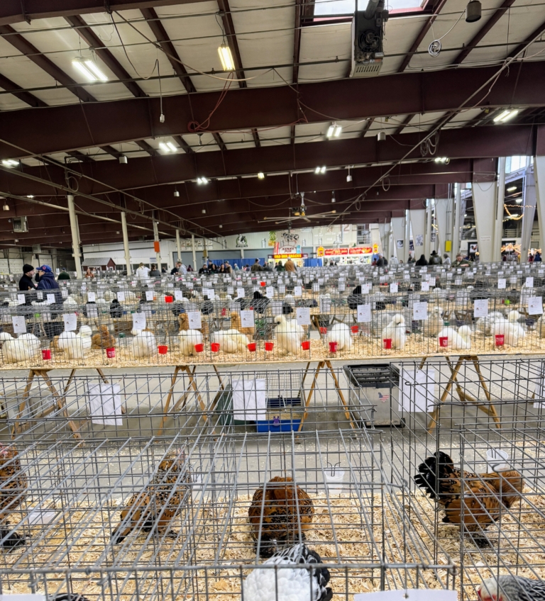 The 2024 Northeastern Poultry Congress in Springfield, Massachusetts ...