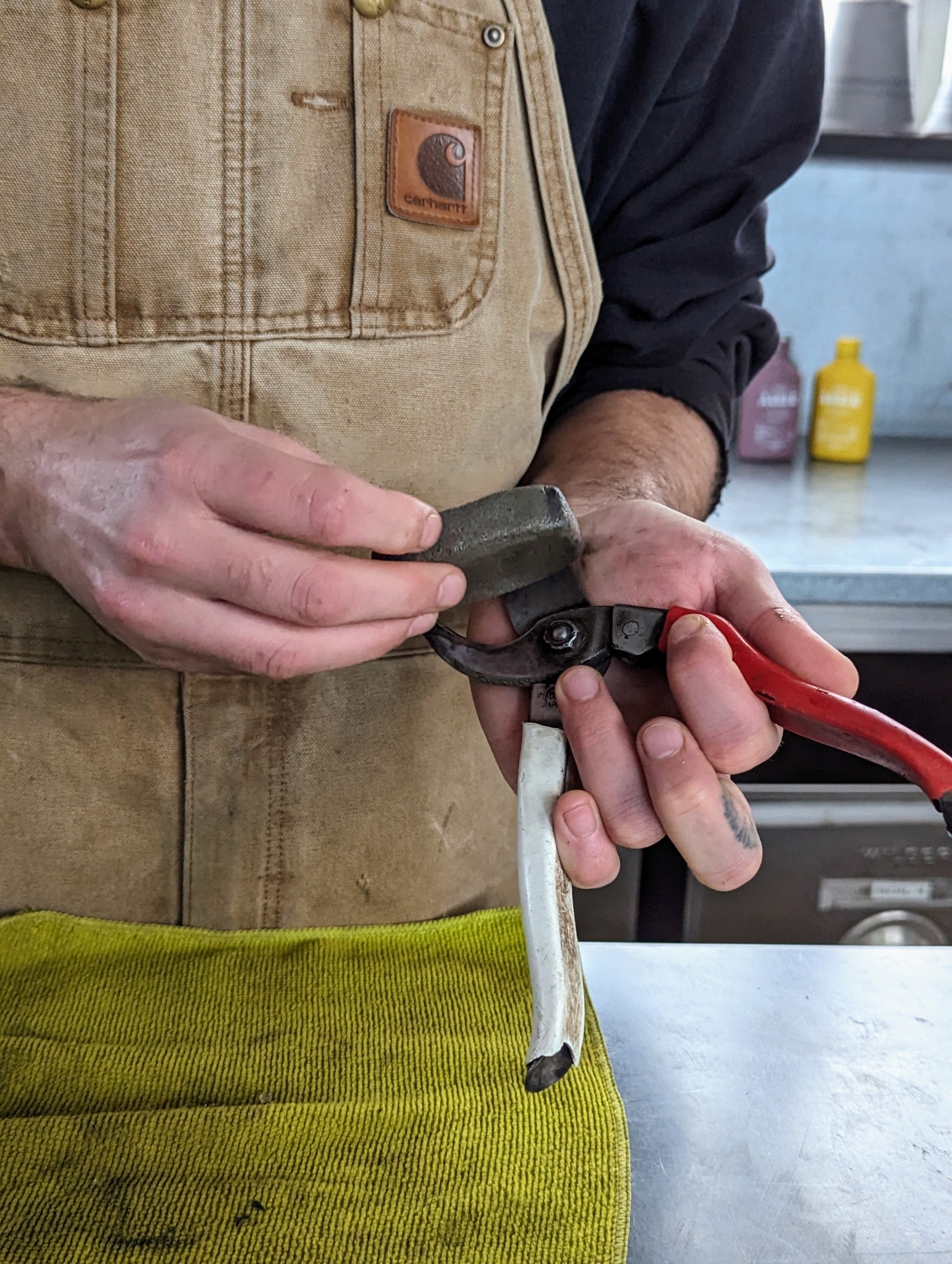 The Martha Stewart Blog : Blog Archive Sharpening Garden Pruners and ...