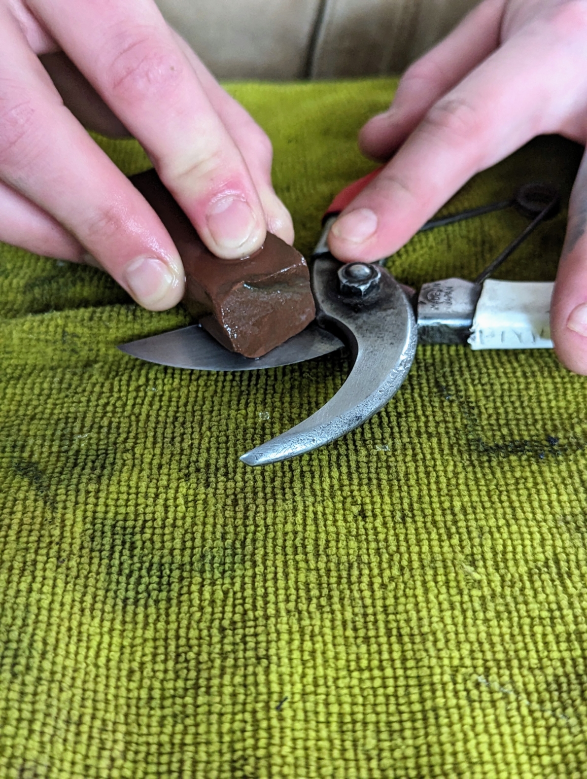 Sharpening Garden Pruners and Shears - The Martha Stewart Blog
