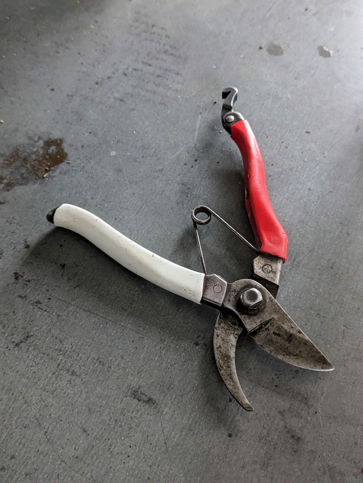 The Martha Stewart Blog : Blog Archive Sharpening Garden Pruners and ...