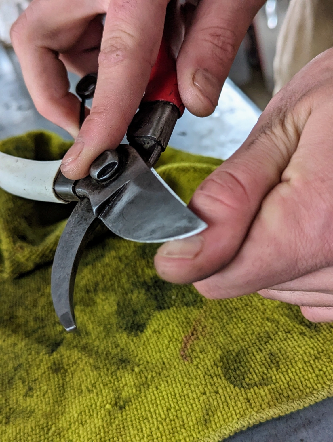 The Martha Stewart Blog : Blog Archive Sharpening Garden Pruners and ...