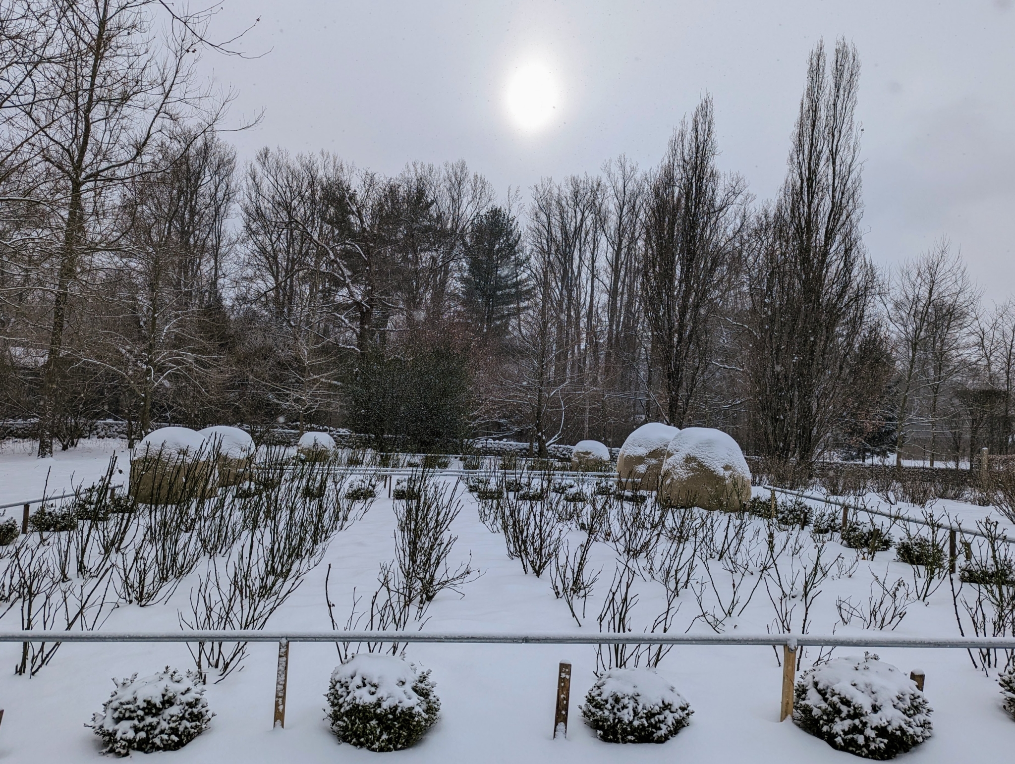 The Martha Stewart Blog : Blog Archive A Snowy Day at the Farm - The ...
