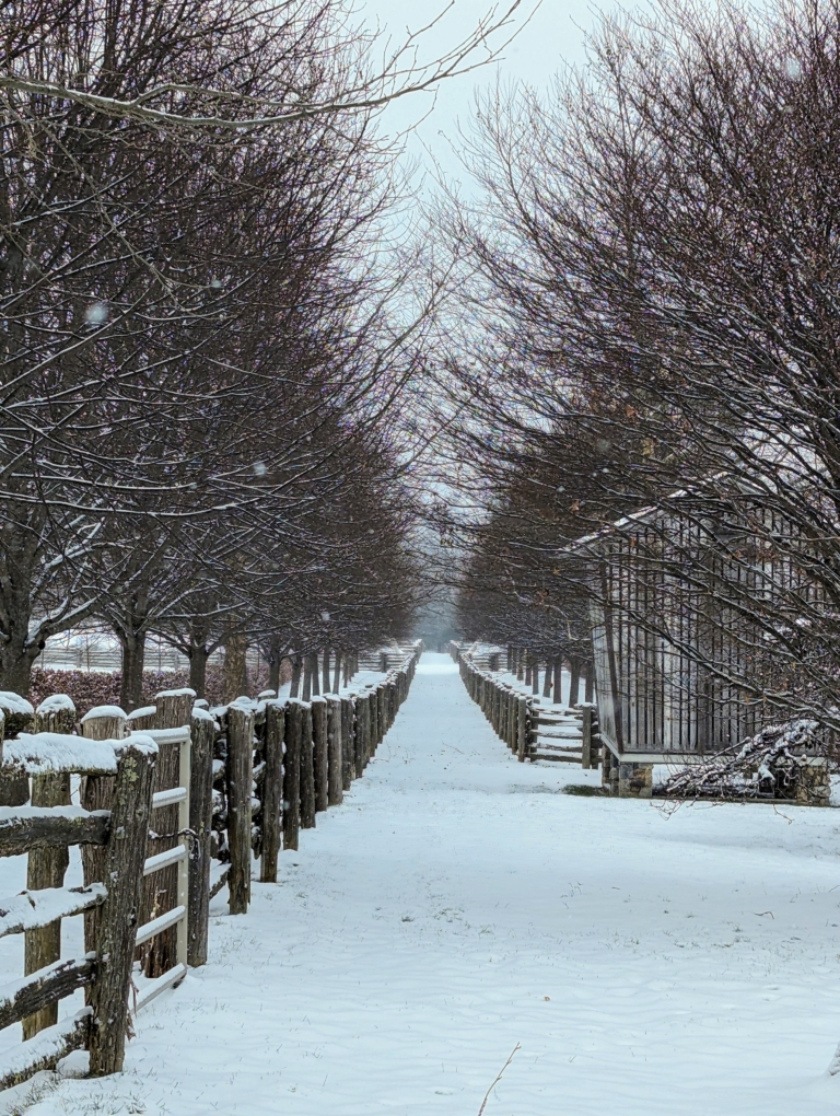 The Martha Stewart Blog : Blog Archive A Snowy Day at the Farm - The ...