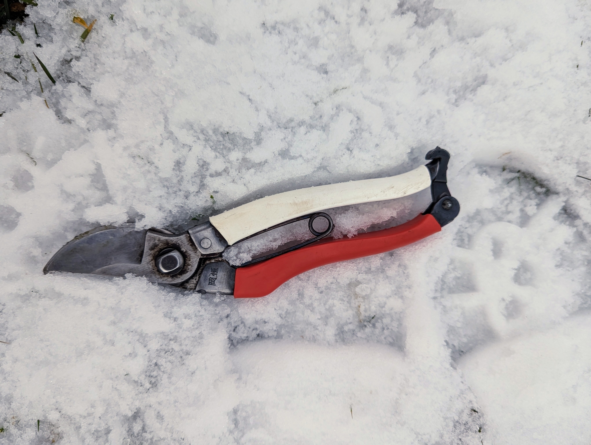 Pruning Trees in the Orchard - The Martha Stewart Blog