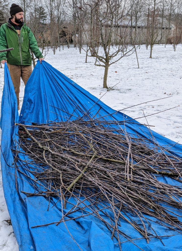 Pruning Trees in the Orchard - The Martha Stewart Blog
