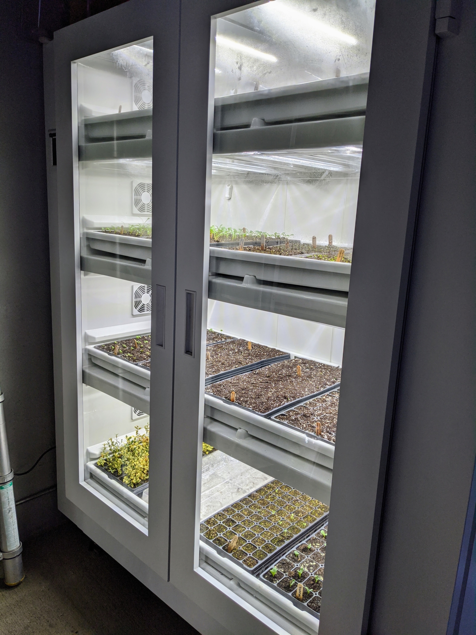 The Martha Stewart Blog : Blog Archive Transplanting Seedlings - The ...