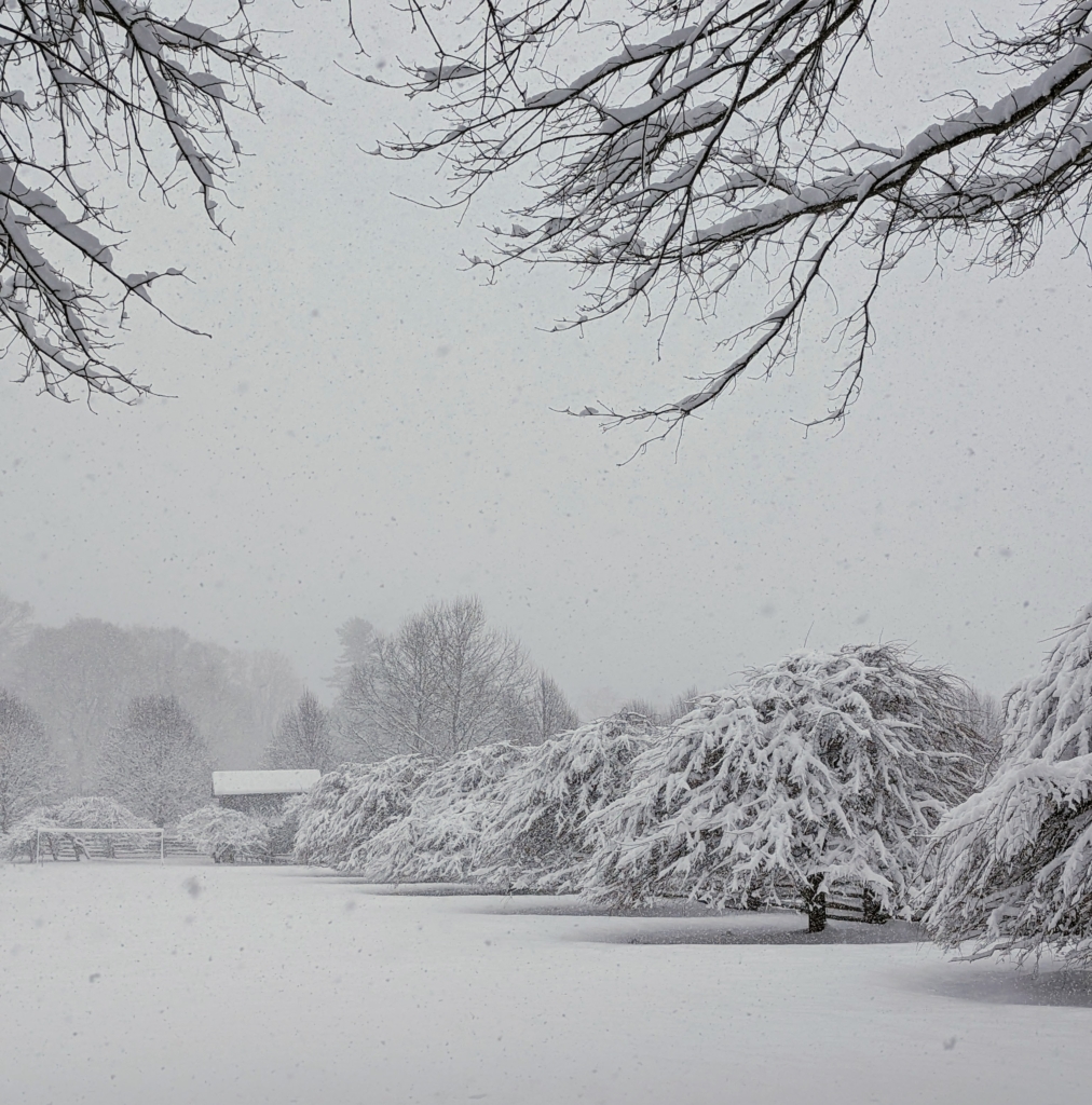 A Fast-Moving February Snow Storm - The Martha Stewart Blog