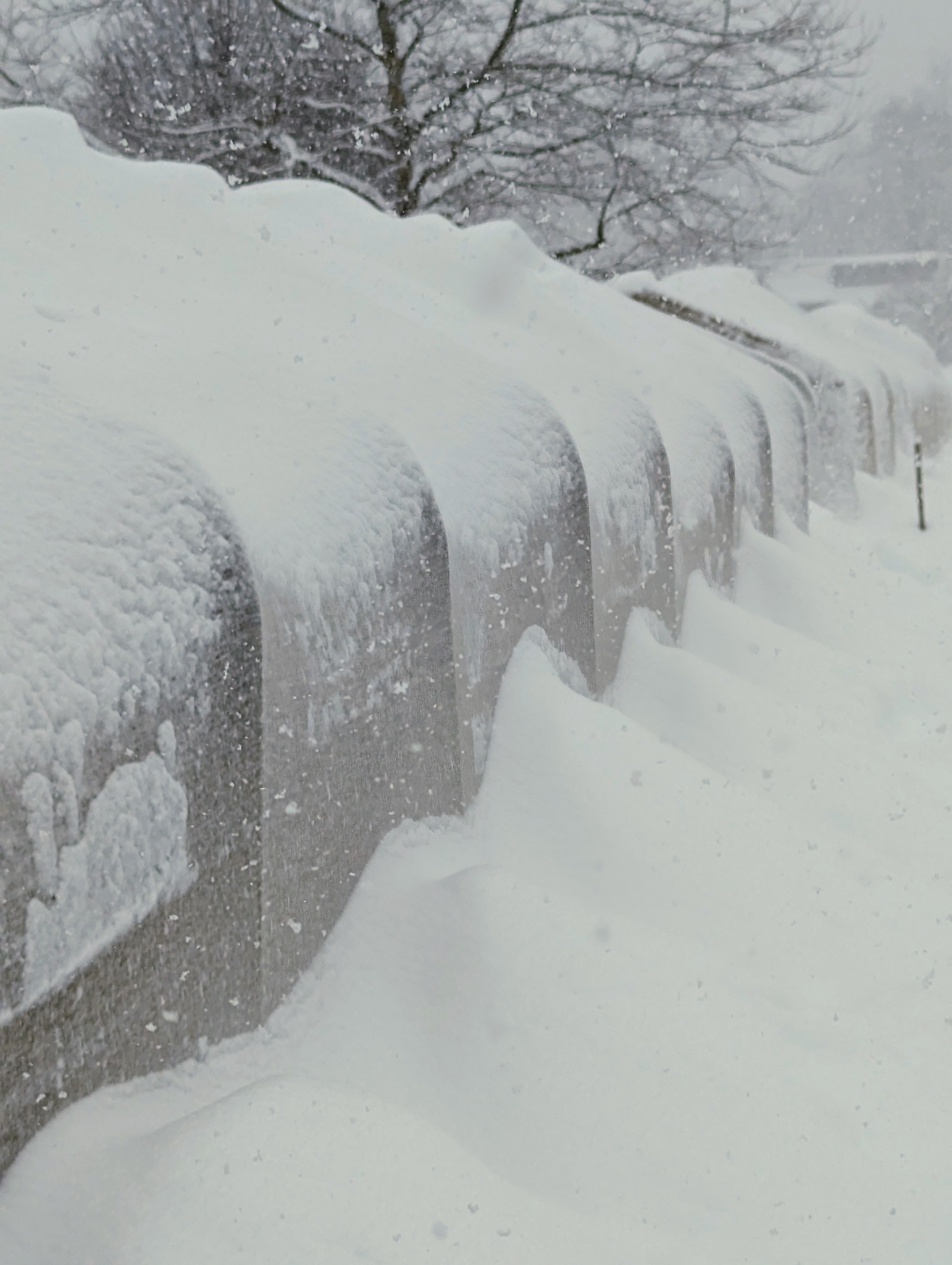 A Fast-Moving February Snow Storm - The Martha Stewart Blog