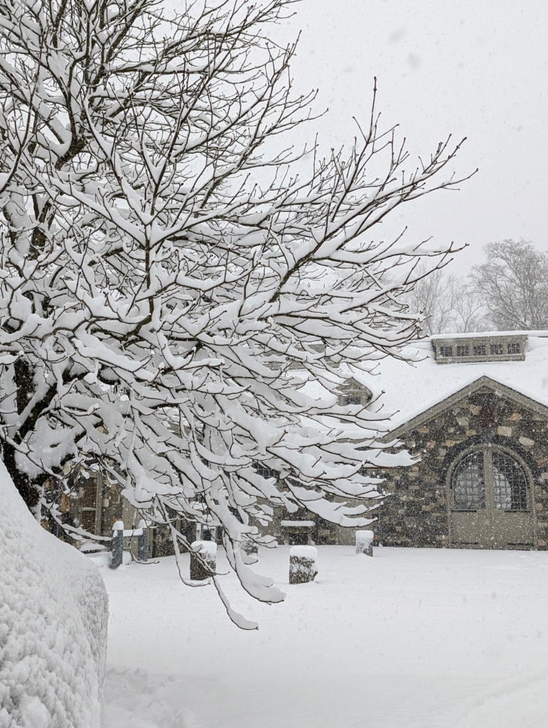 A Fast-Moving February Snow Storm - The Martha Stewart Blog