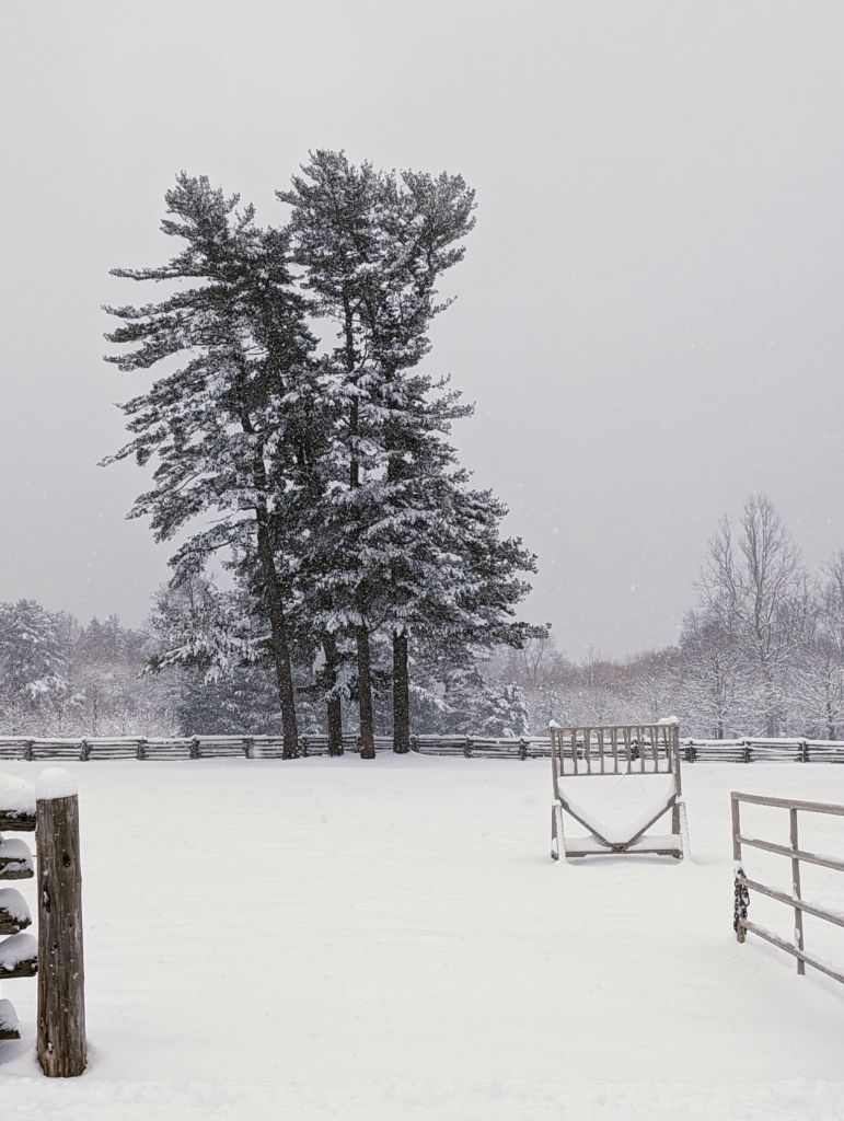 A Fast-Moving February Snow Storm - The Martha Stewart Blog