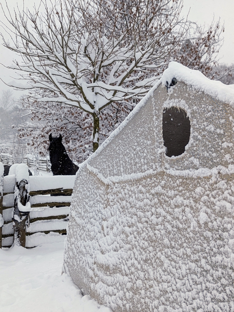 A Fast-Moving February Snow Storm - The Martha Stewart Blog