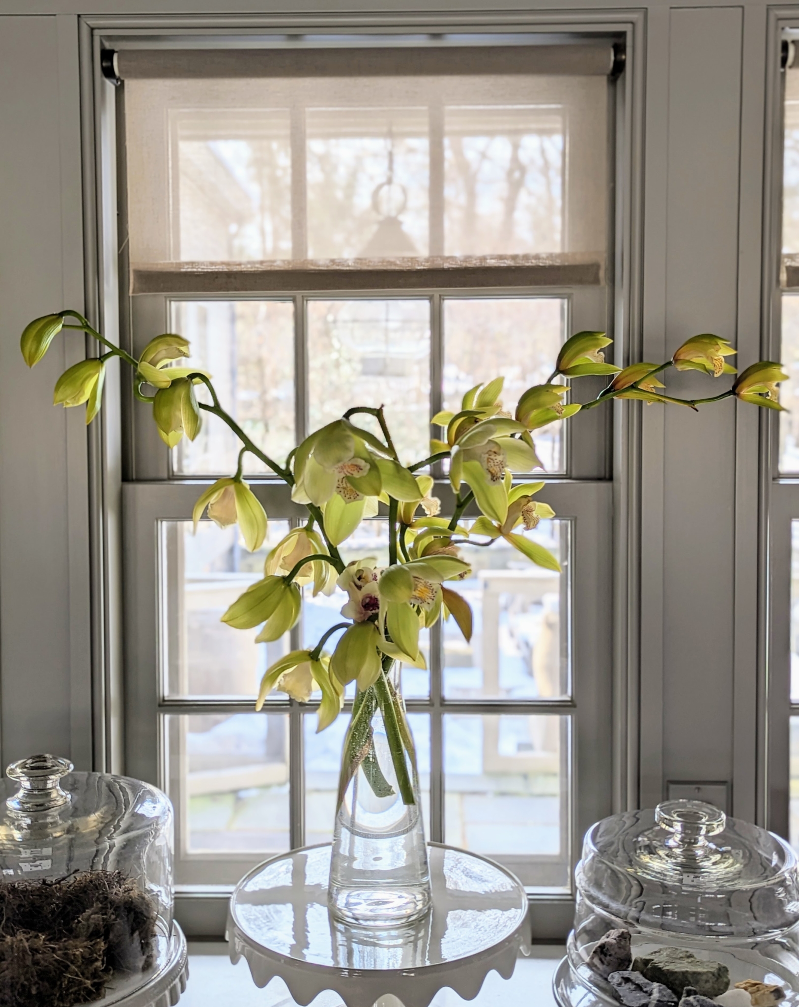 The Martha Stewart Blog : Blog Archive Flowers in My Winter House - The ...