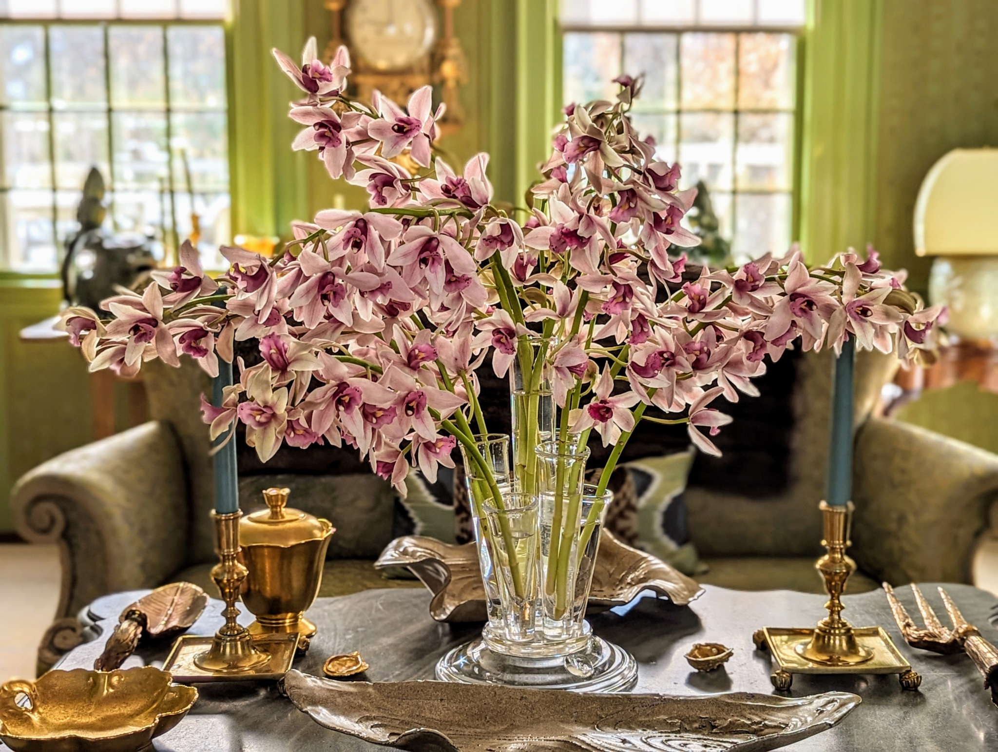 The Martha Stewart Blog : Blog Archive Flowers in My Winter House - The ...