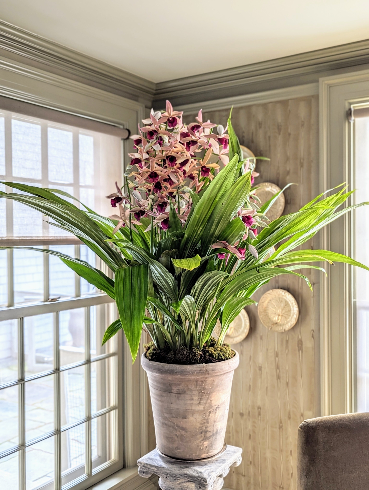 The Martha Stewart Blog : Blog Archive Flowers in My Winter House - The ...