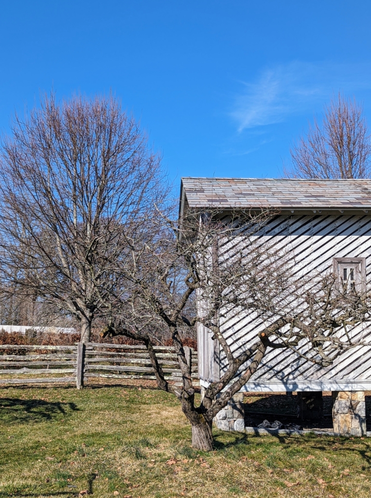 Spring Emergence 2024 - The Martha Stewart Blog