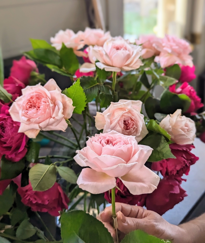 The Martha Stewart Blog : Blog Archive Colorful Cut Flower Arrangements ...