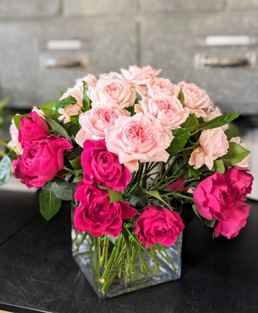 The Martha Stewart Blog : Blog Archive Colorful Cut Flower Arrangements ...