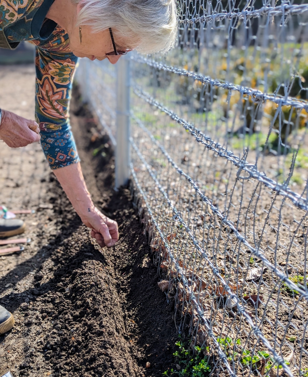 Planting Sweet Peas at My Farm - The Martha Stewart Blog