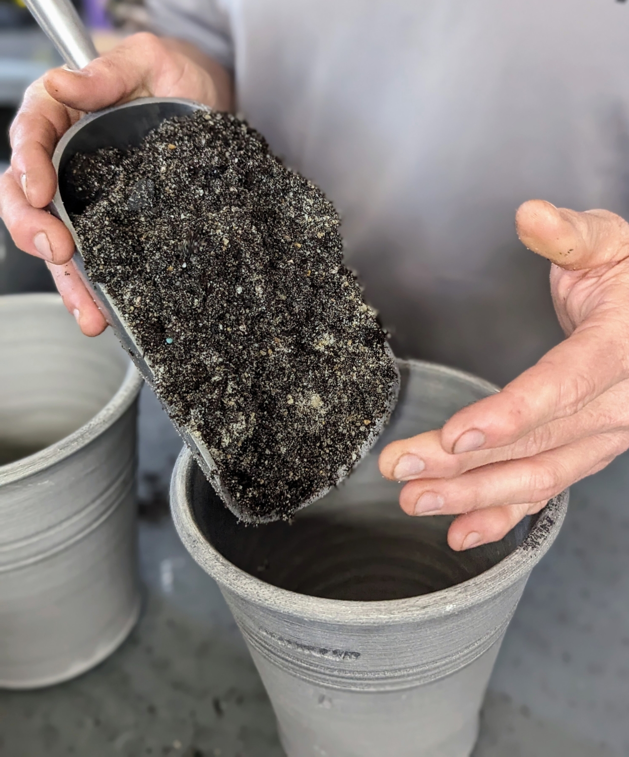 Potting Aloe Vera and Other Succulents - The Martha Stewart Blog