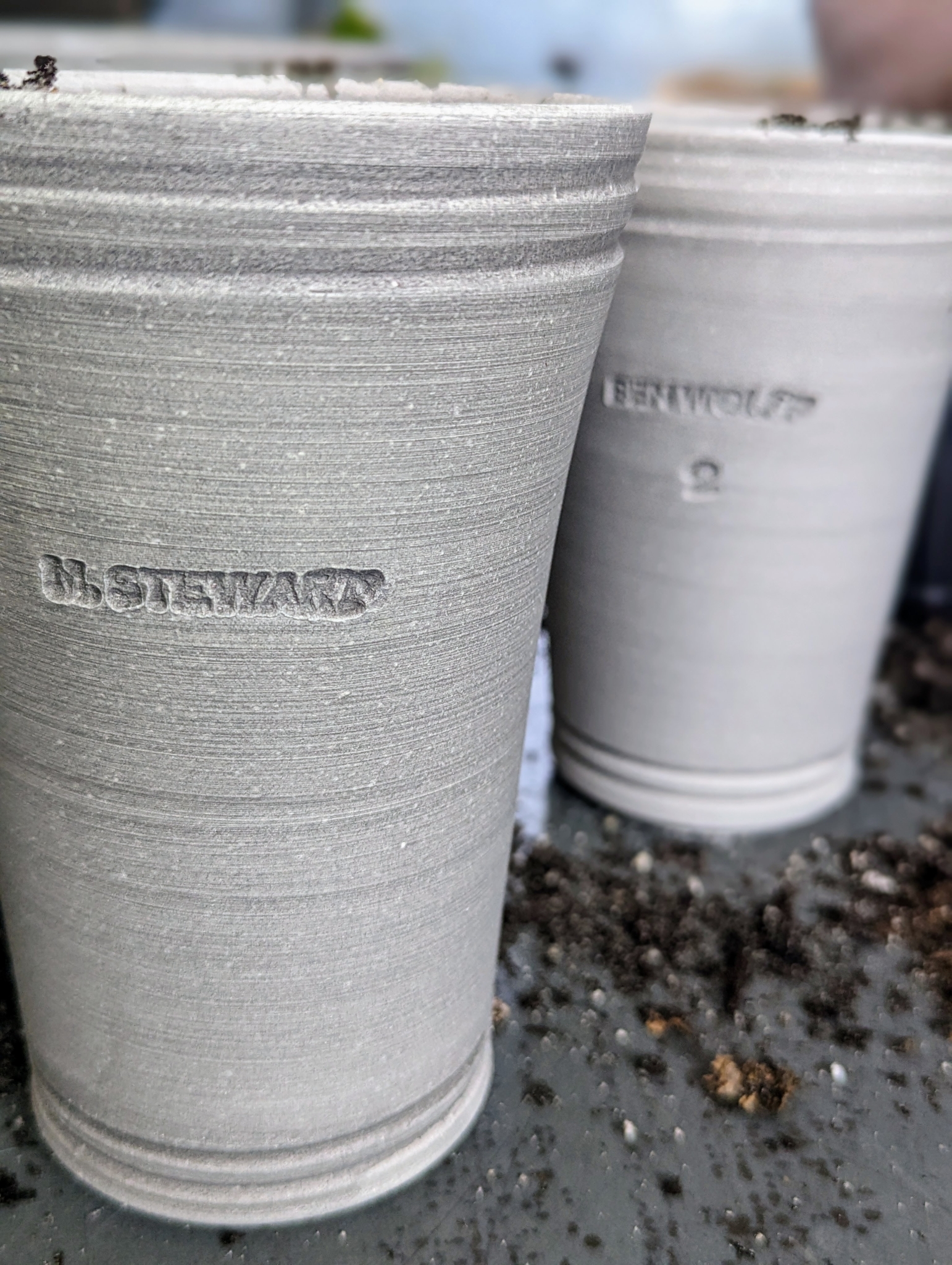 Potting Aloe Vera and Other Succulents - The Martha Stewart Blog
