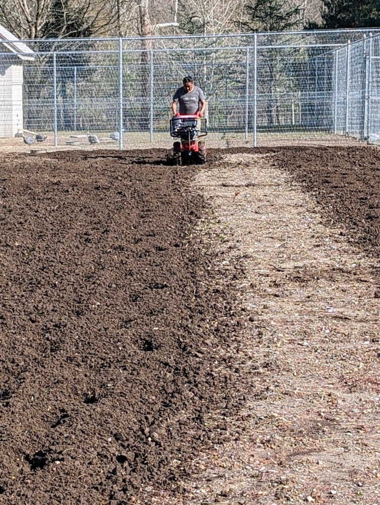 Creating a New Flower Cutting Garden, Part I - The Martha Stewart Blog