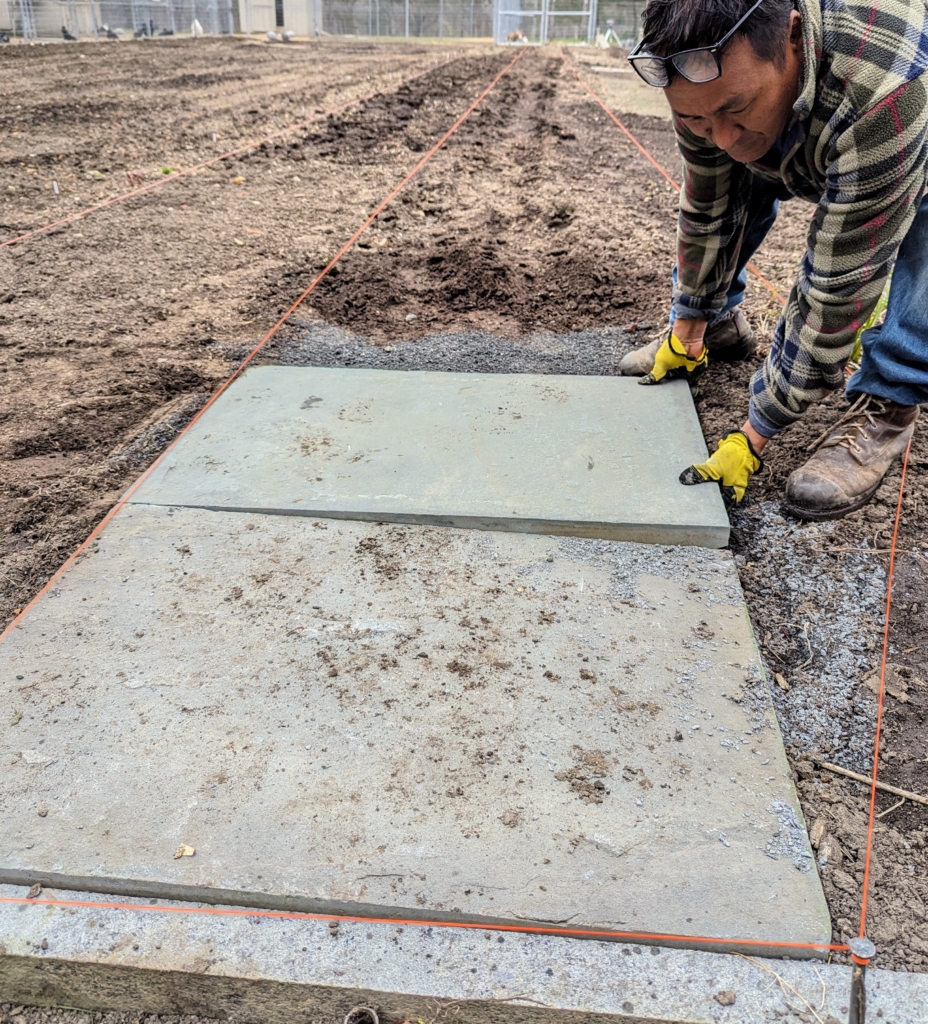 Creating a New Flower Cutting Garden, Part I - The Martha Stewart Blog