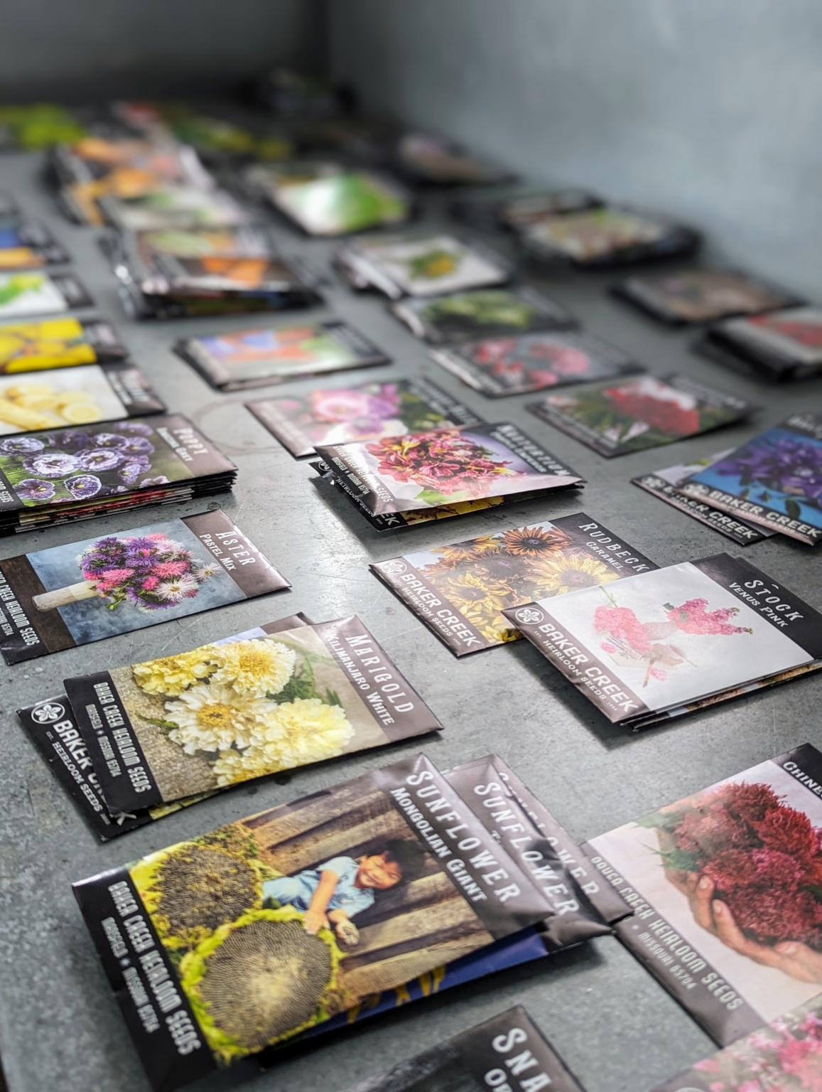 Seed Starting with Baker Creek Flower Seeds - The Martha Stewart Blog