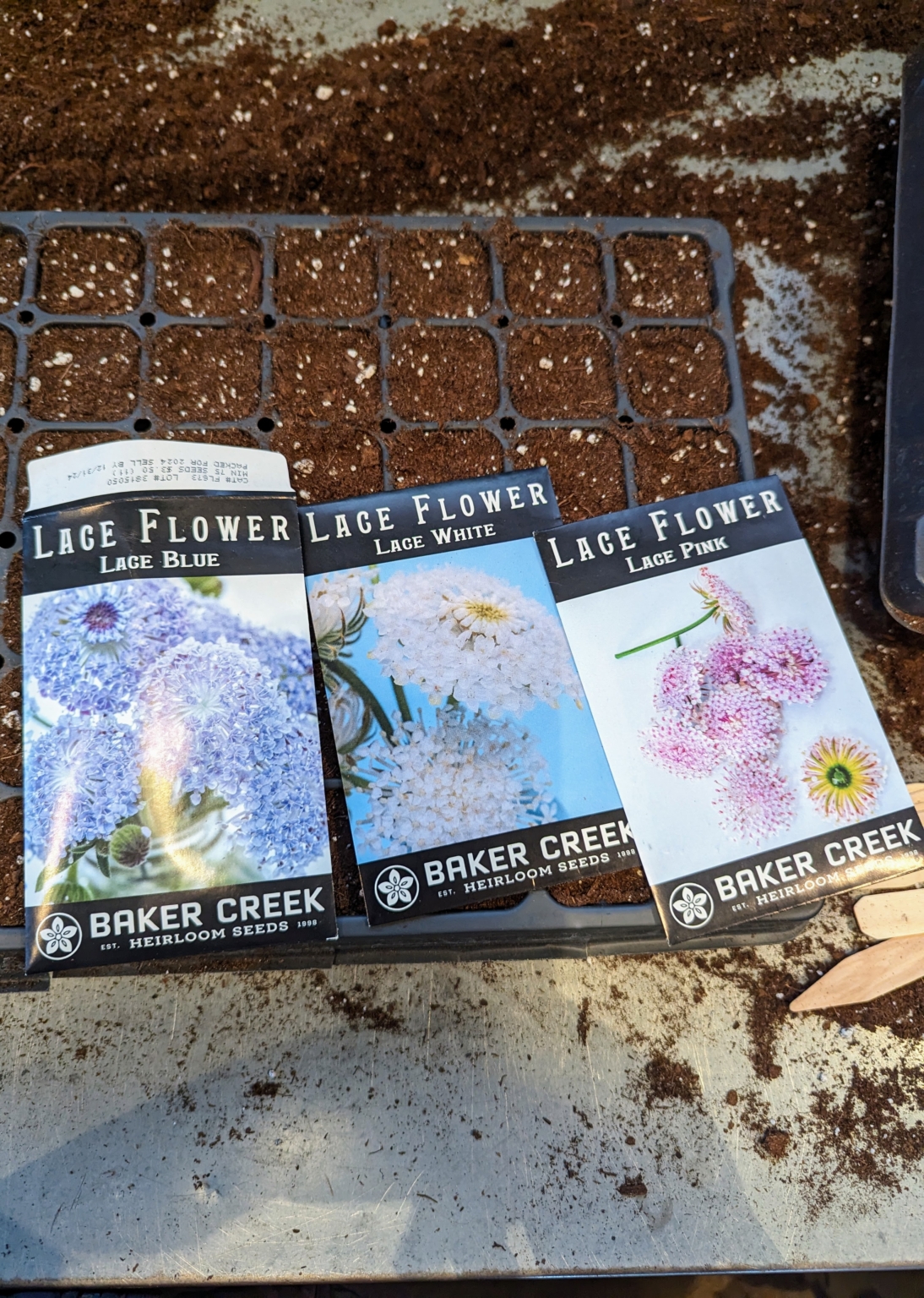 The Martha Stewart Blog : Blog Archive Seed Starting with Baker Creek ...