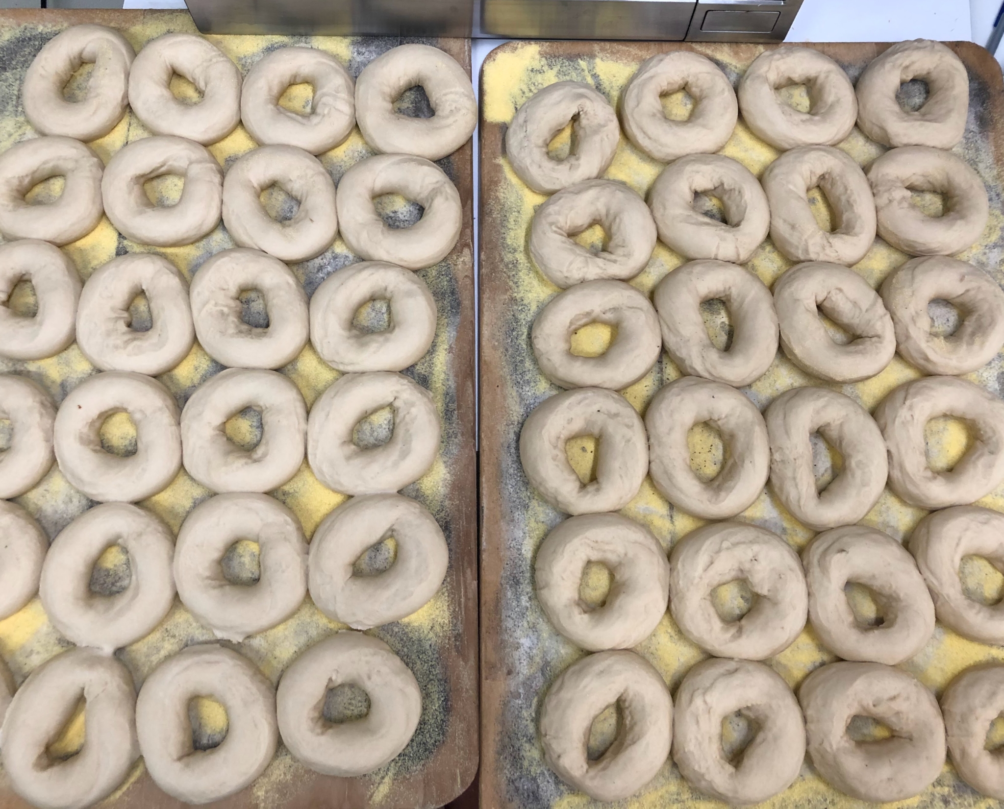 Bagel Corner Visits My Farm - The Martha Stewart Blog