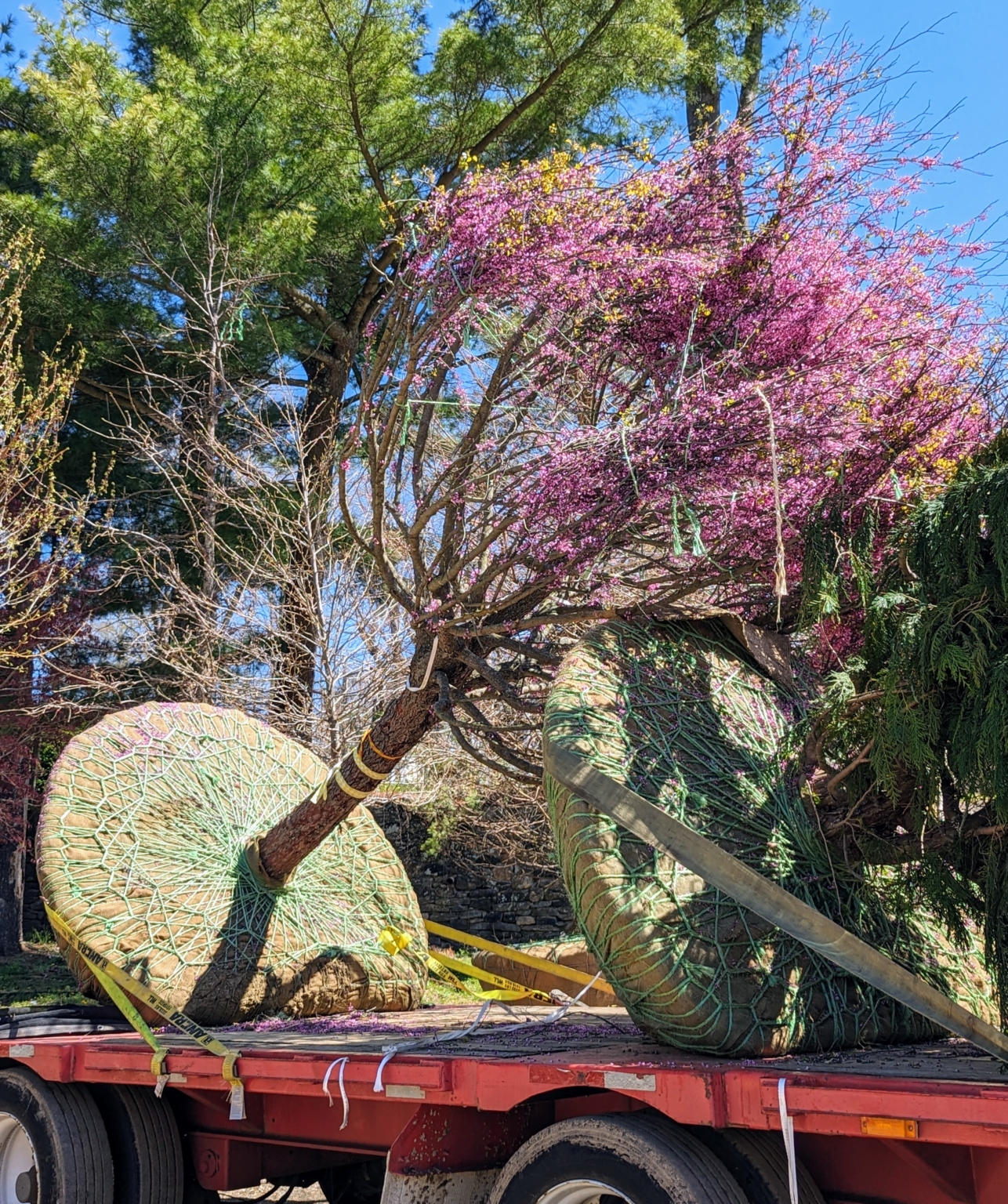 The Martha Stewart Blog : Blog Archive A Trip to Select Horticulture ...